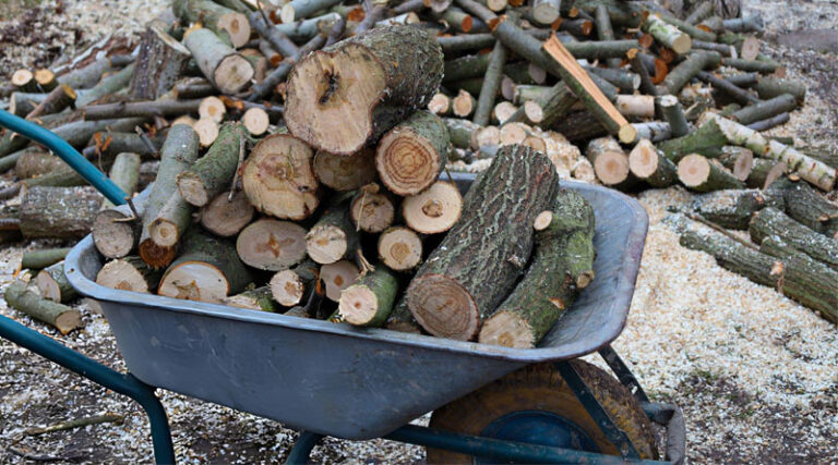 Best Wheelbarrows For Heavy Loads of 2026 - Newer Tools